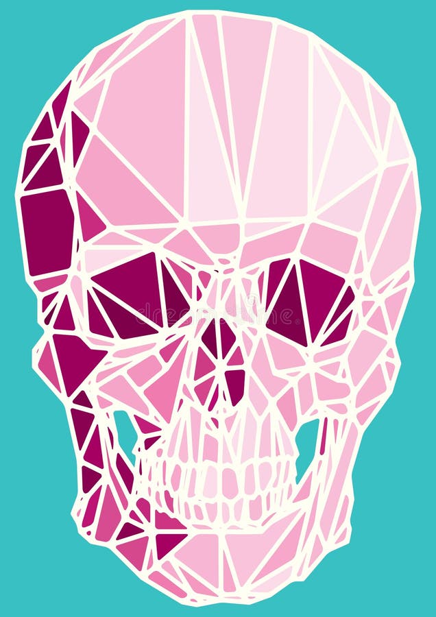Skull stock illustration. Illustration of bone, cranium - 42957893