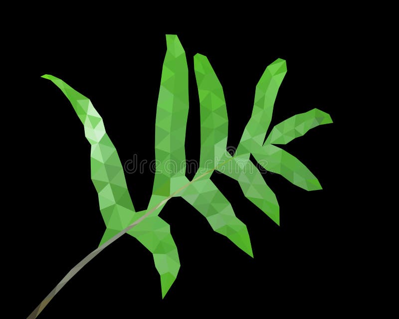 Low Poly Fern Leaf, Isolated on Black Background, Triangular Foliage ...