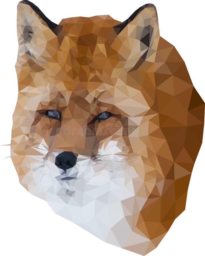 Low poly fox stock illustration. Illustration of head - 112824906