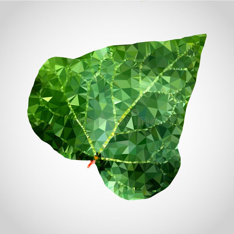 Low Poly Green Leaf. Vector Illustration Stock Vector - Illustration of ...