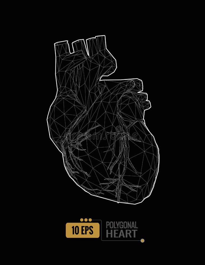 Wireframe Human Heart Stock Illustrations – 555 Wireframe Human Heart ...