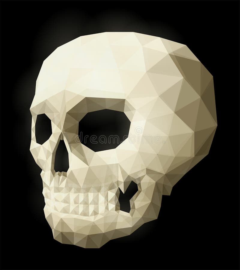 Low Poly Illustration with Isolated White Skull Stock Vector ...