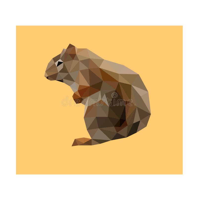 Squirrel Geometry Stock Illustrations – 123 Squirrel Geometry Stock ...