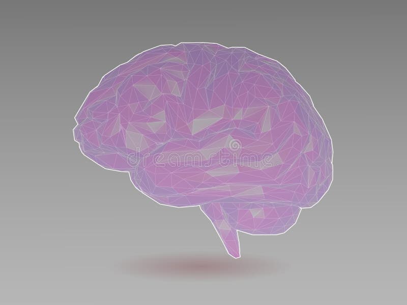 Low Poly Transparent Brain Illustration Stock Vector - Illustration of ...