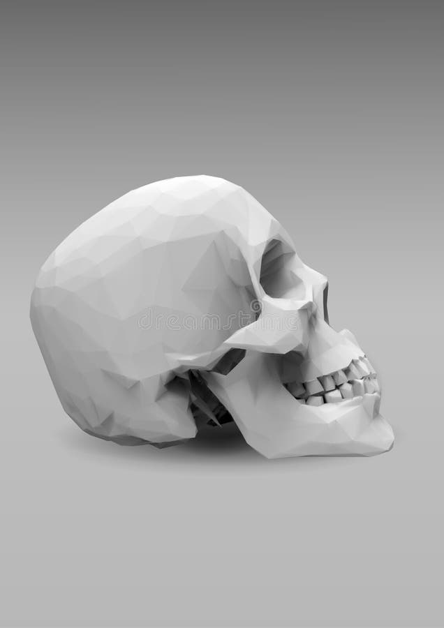Low Poly Vector Skull in 3d Render Look Stock Vector - Illustration of ...