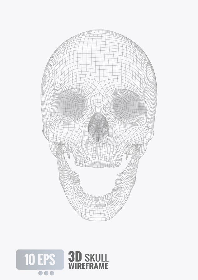 Polygonal Bone Stock Illustrations – 659 Polygonal Bone Stock ...