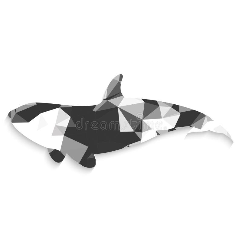 Low Poly Whale 3d Realistic Shadow Stock Illustrations – 3 Low Poly ...
