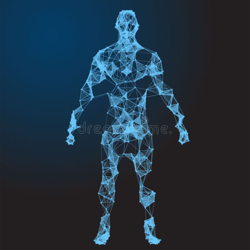 Low Poly Wireframe Human Body. Abstract Illustration Stock Vector ...
