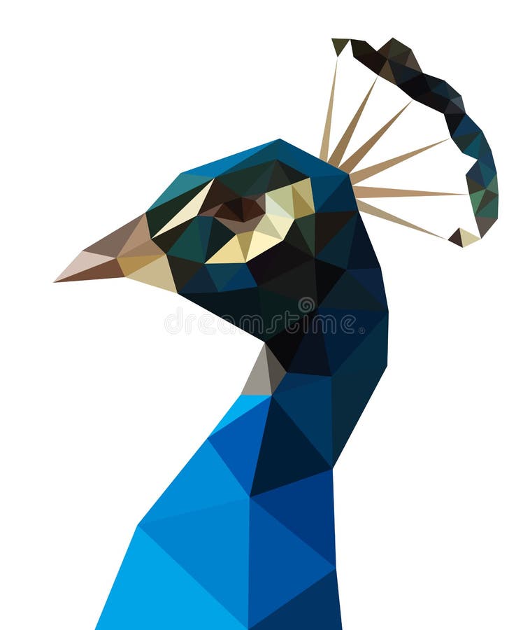 Peacock Head Stock Illustrations – 2,674 Peacock Head Stock ...