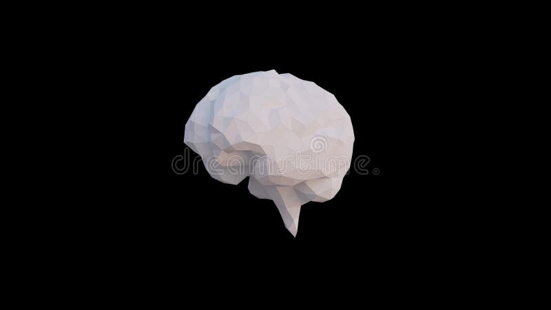 Low Polygon Human Brain Animation, Origami Human Brain. Polyfolding ...