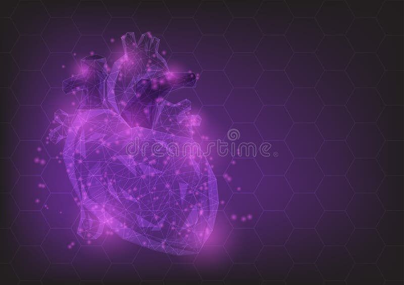 Low polygon human heart stock vector. Illustration of human - 288968447