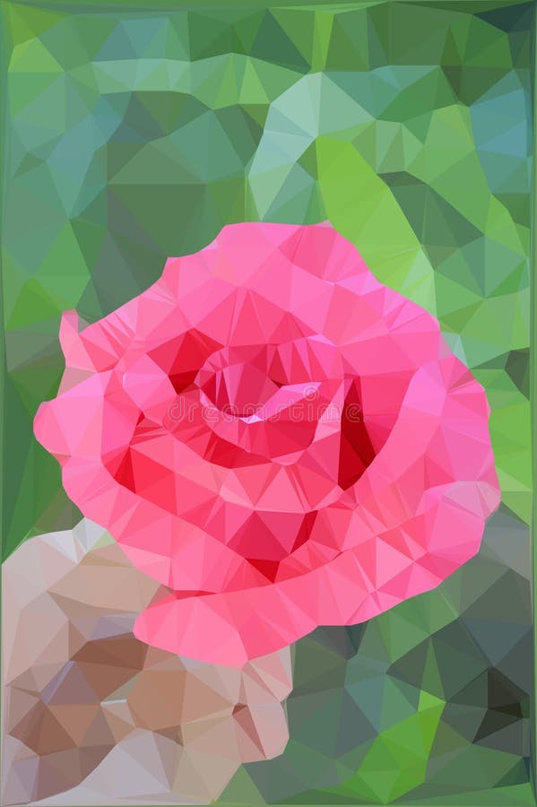 Low Polygon Pink Rose Flower Stock Illustration - Illustration of pink ...