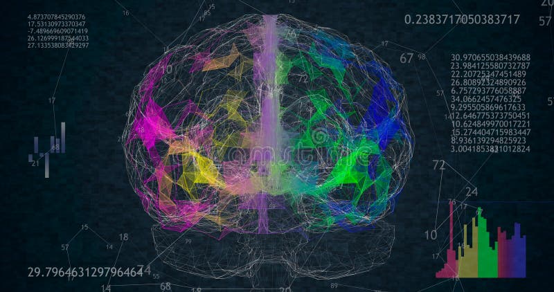 Low Polygonal Brain 3D Model on Black Background with Animated Numbers ...