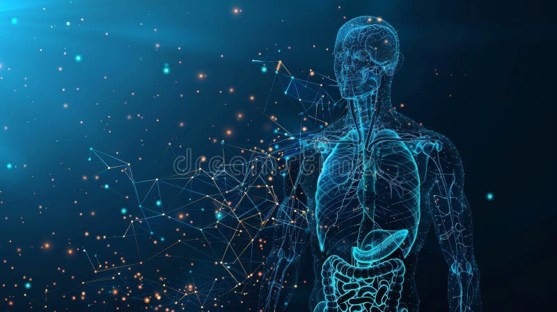 Low Polywireframe of an Abstract Isolated Human Body on a Blue ...