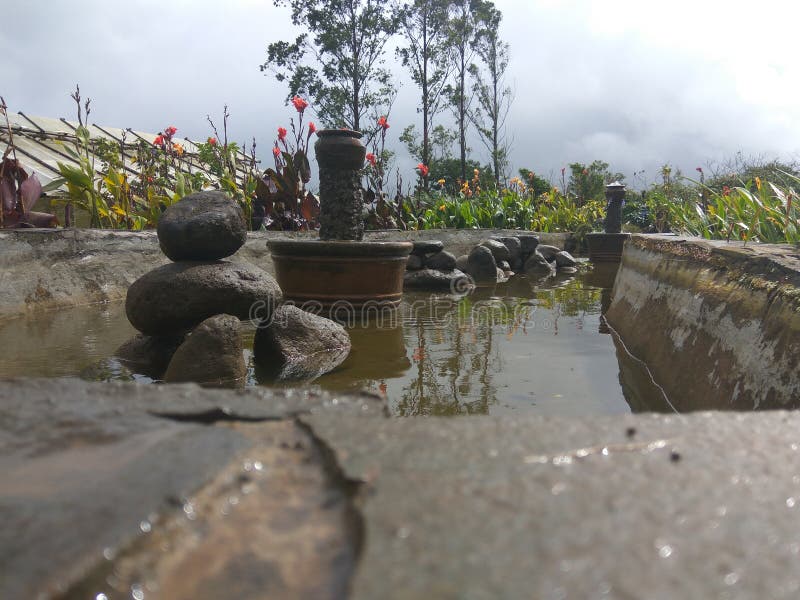 Low pool view stock image. Image of green, view, water - 95313633