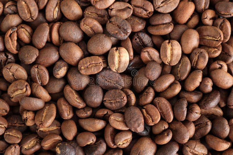 Low Quality Coffee Bean Background Stock Image - Image of roast ...