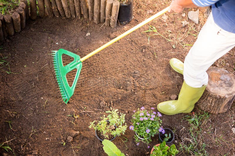 Low Section of Gardener Using Rake at Farm Stock Photo - Image of boot ...