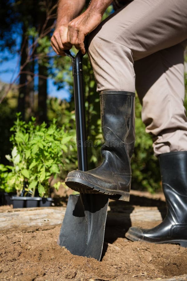 Low Section of Man Digging Soil with Shovel in Garden Stock Image ...