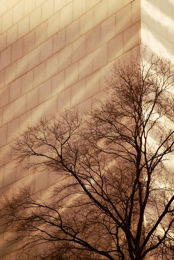 Low Shadows Fall on Masonry Building in Charlotte, North Carolina with ...