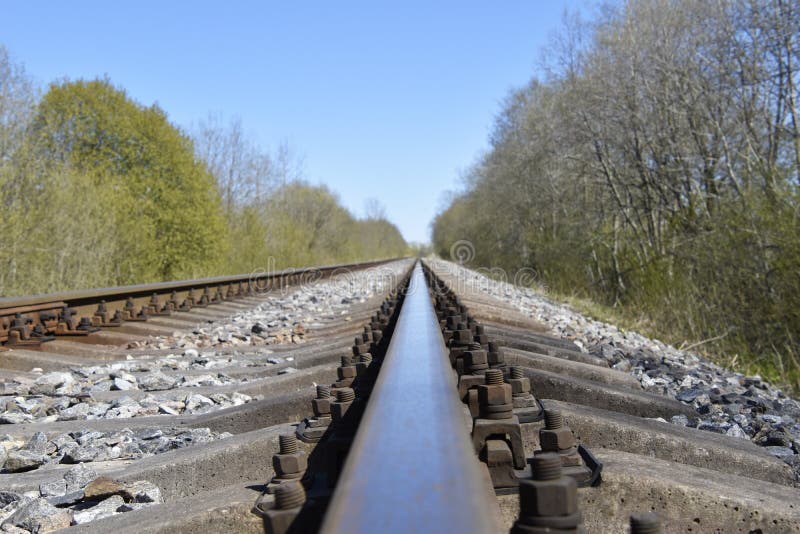 Low Shot of the Railroad in the Forest. Stock Photo - Image of ...