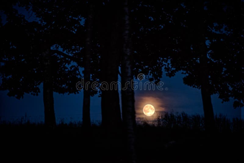 Low standing full moon stock photo. Image of creepy - 101848222