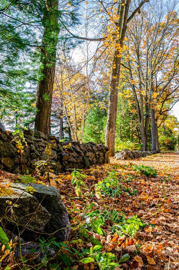 Low Stone Wall in Sunlight Surrounded by Fallen Leaves Stock Photo ...