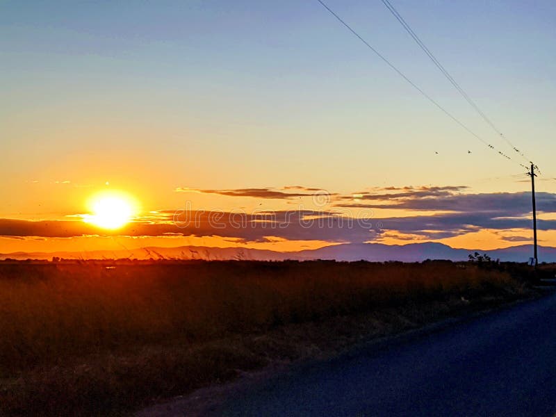 Low sun purple sky stock photo. Image of purple, field - 164722082