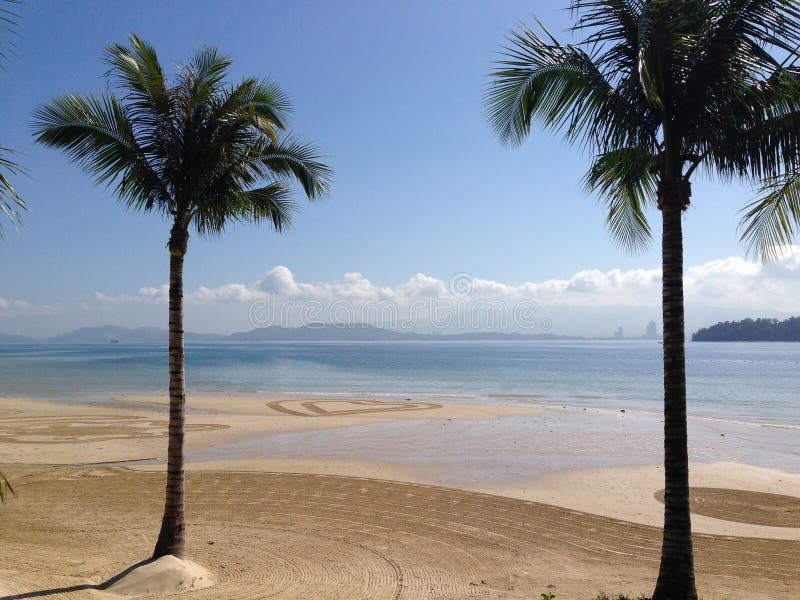 Low tide stock image. Image of dead, looking, autumn - 58360565
