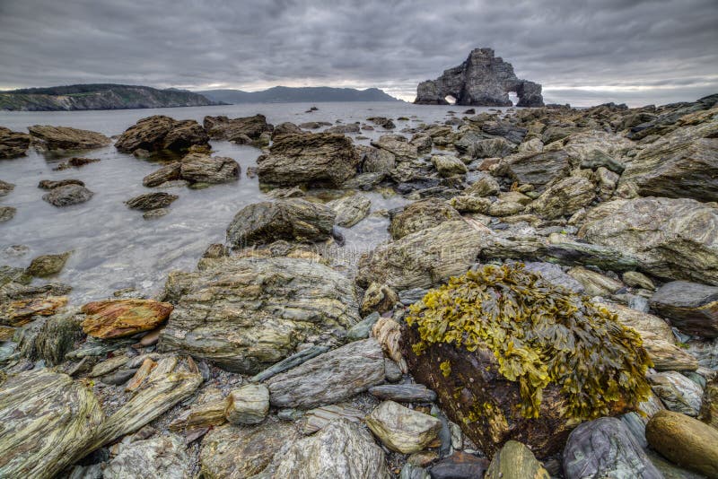 Low tide, algae and rocks stock image. Image of loiba - 68742837