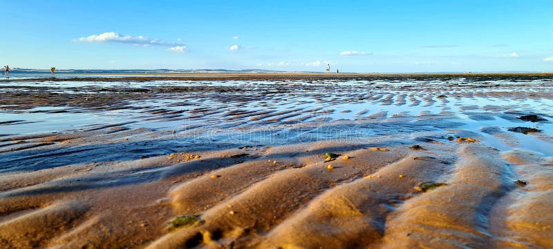 Low tide beach stock image. Image of ocean, mudf, shore - 245559883