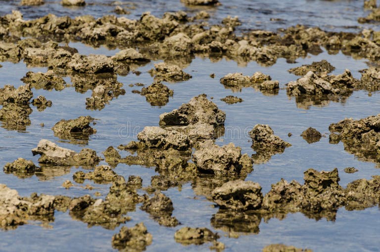 Tide Tomorrow Cannon Beach Stock Photos - Free & Royalty-Free Stock ...