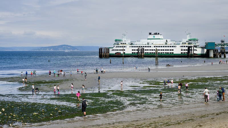 718 Washington State School Stock Photos - Free & Royalty-Free Stock ...