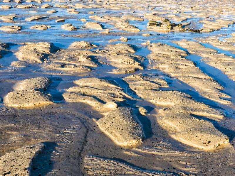 Low Tide Forming Organic Structures in the Sand. Stock Photo - Image of ...