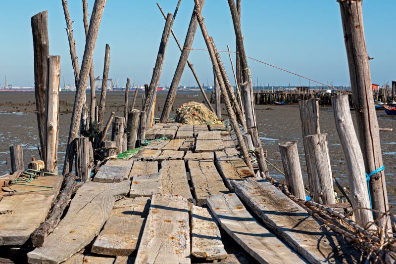 Low tide jetty with nets stock photo. Image of poles - 383490858