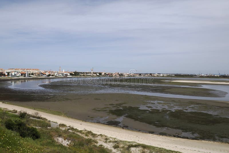 Low Tide in the Lagoon Ria De Aveiro, with People Picking Up Shell and ...