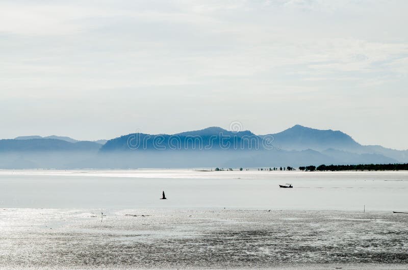 Low Tide stock photo. Image of education, colors, feline - 92456908