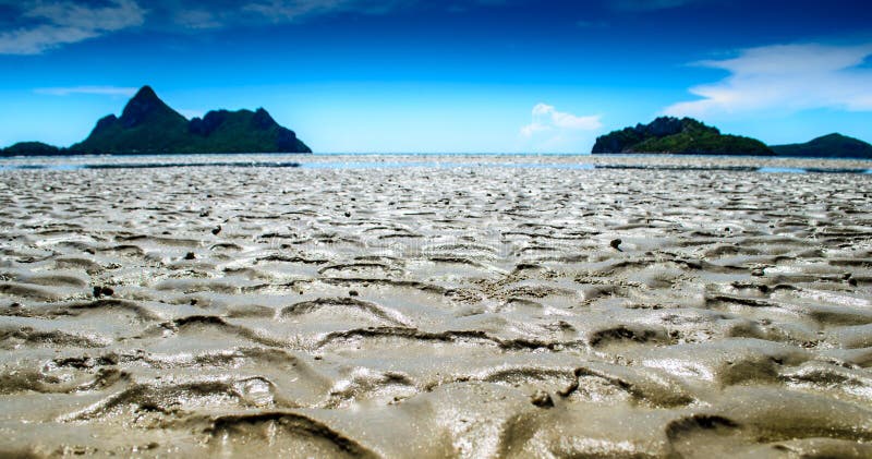Low Tide Mud Flats stock photo. Image of cloud, ocean - 60654472