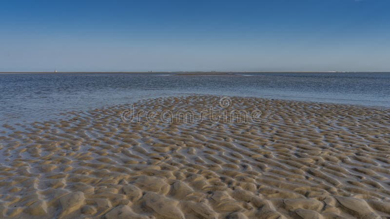 The Low Tide in the Ocean. on the Exposed Bottom There is a Pattern of ...