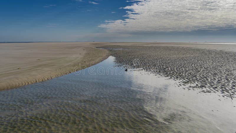 Low Tide on the Ocean. the Seabed with Undulating Sandy Ridges is ...