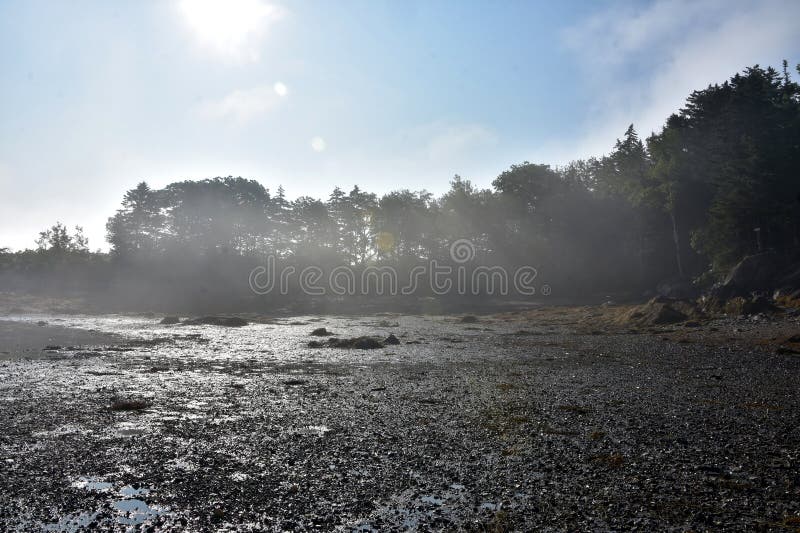 Low Tide Over Muddy Beach with a Heavy Fog Stock Image - Image of coast ...
