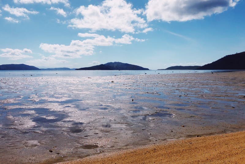 Low Tide on Palm Island, Queensland Stock Photo - Image of island, palm ...