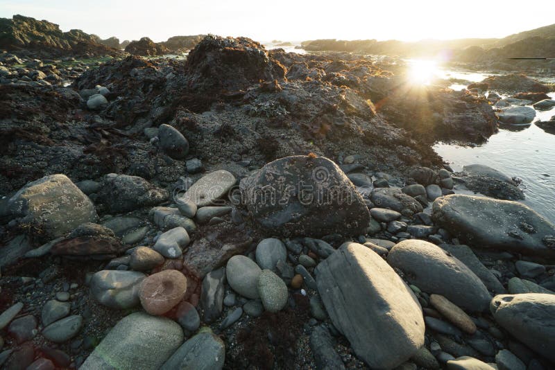 Low Tide Tide Pools Exposed at Sunset Stock Image - Image of travel ...