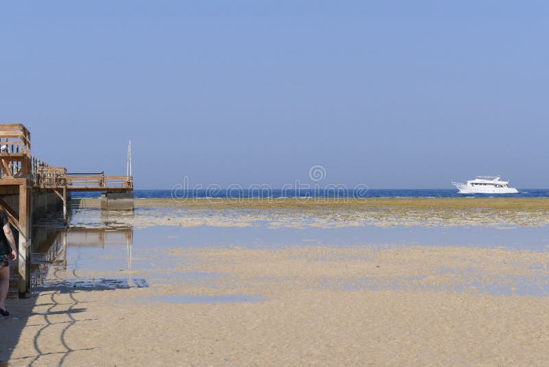 Low tide on the Red Sea stock image. Image of shallow - 97422713