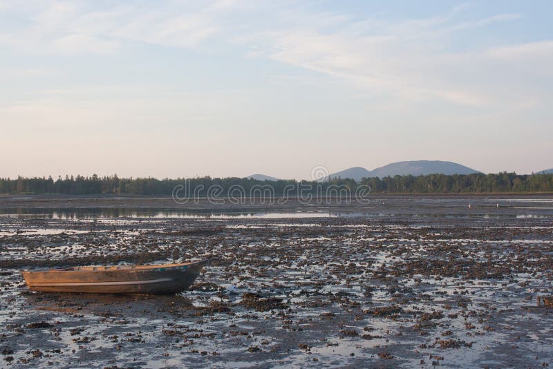 Low Tide stock photo. Image of rowboat, receding, stranded - 67863936