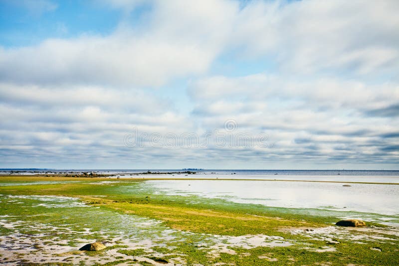 Low Tide stock photo. Image of cloudy, devastation, disaster - 54213304
