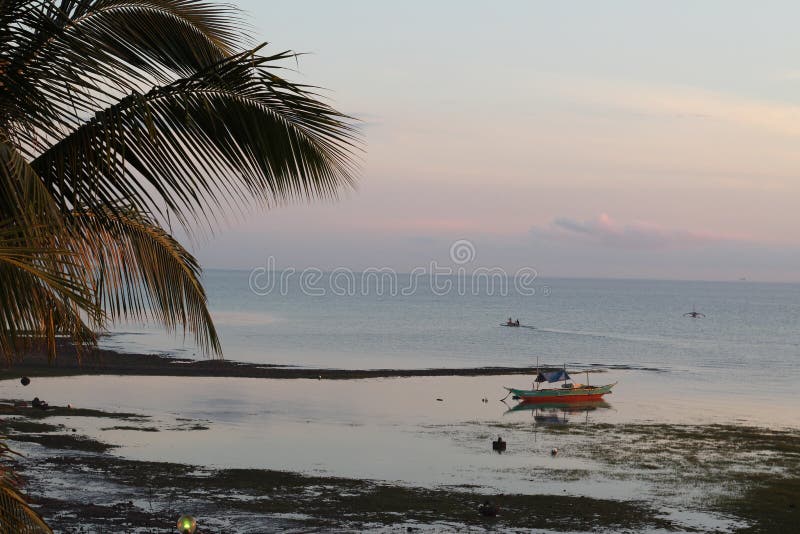 Low Tide at Sea in the Tropics, Philippines Stock Photo - Image of ...