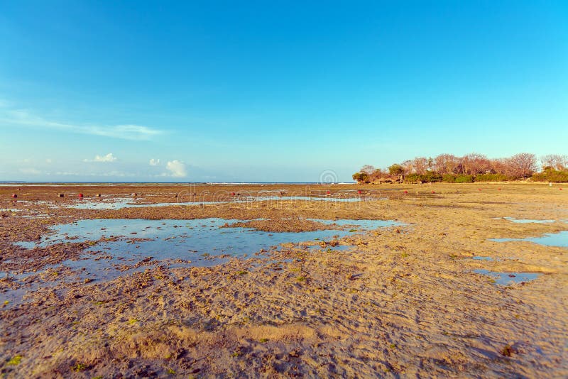 Low Tide and Tropical Beach, Bali Stock Photo - Image of scenic, tides ...