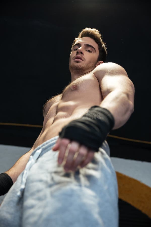 Low View of Boxer Looking Camera Stock Image - Image of boxer ...