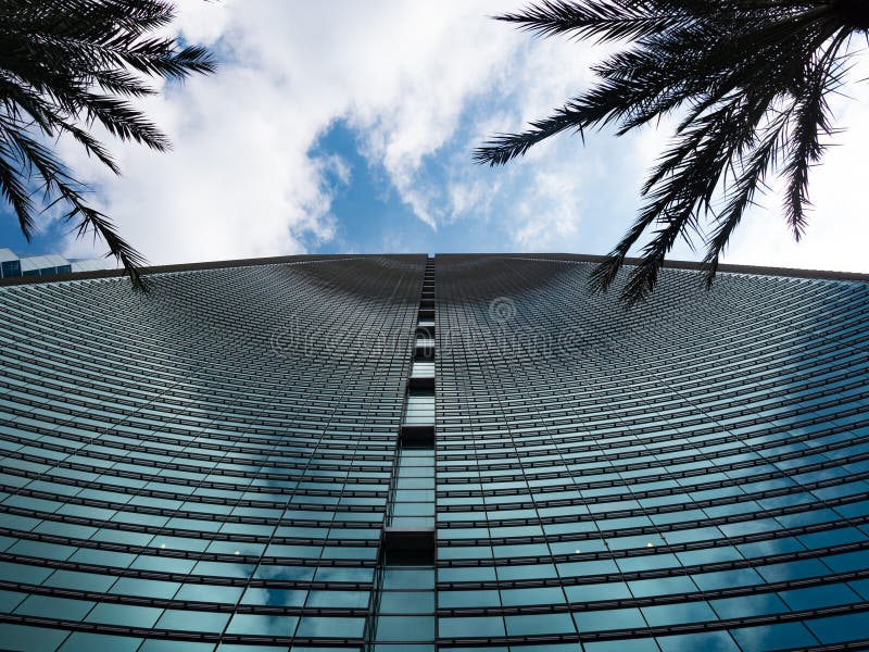 Low View of Skyscraper Building of Glass. Skyscraper Building with Palm ...