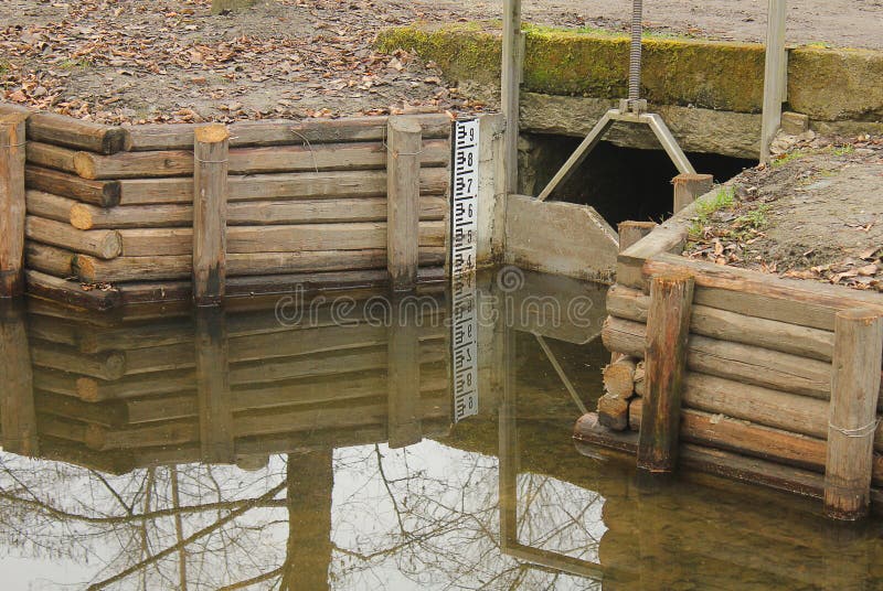 Low water level in a pond stock photo. Image of timber - 66902154